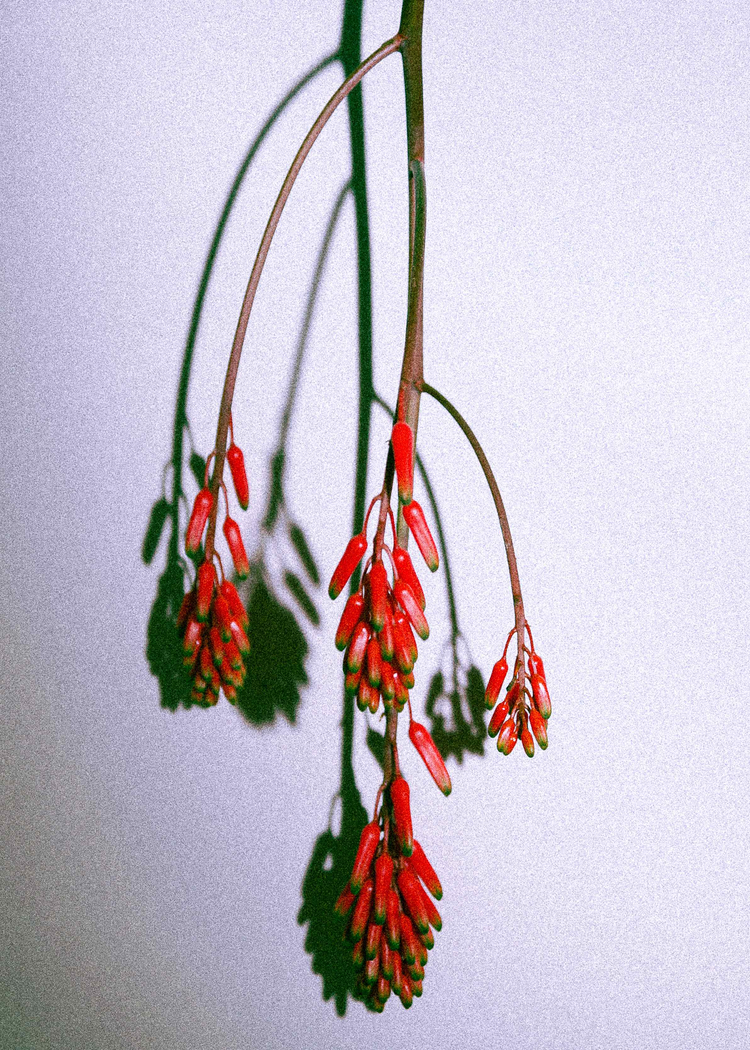 BUZIGAHILL - RETURN TO SENDER